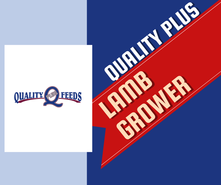 Quality Plus Lamb Grower – Sims Feed & Supply